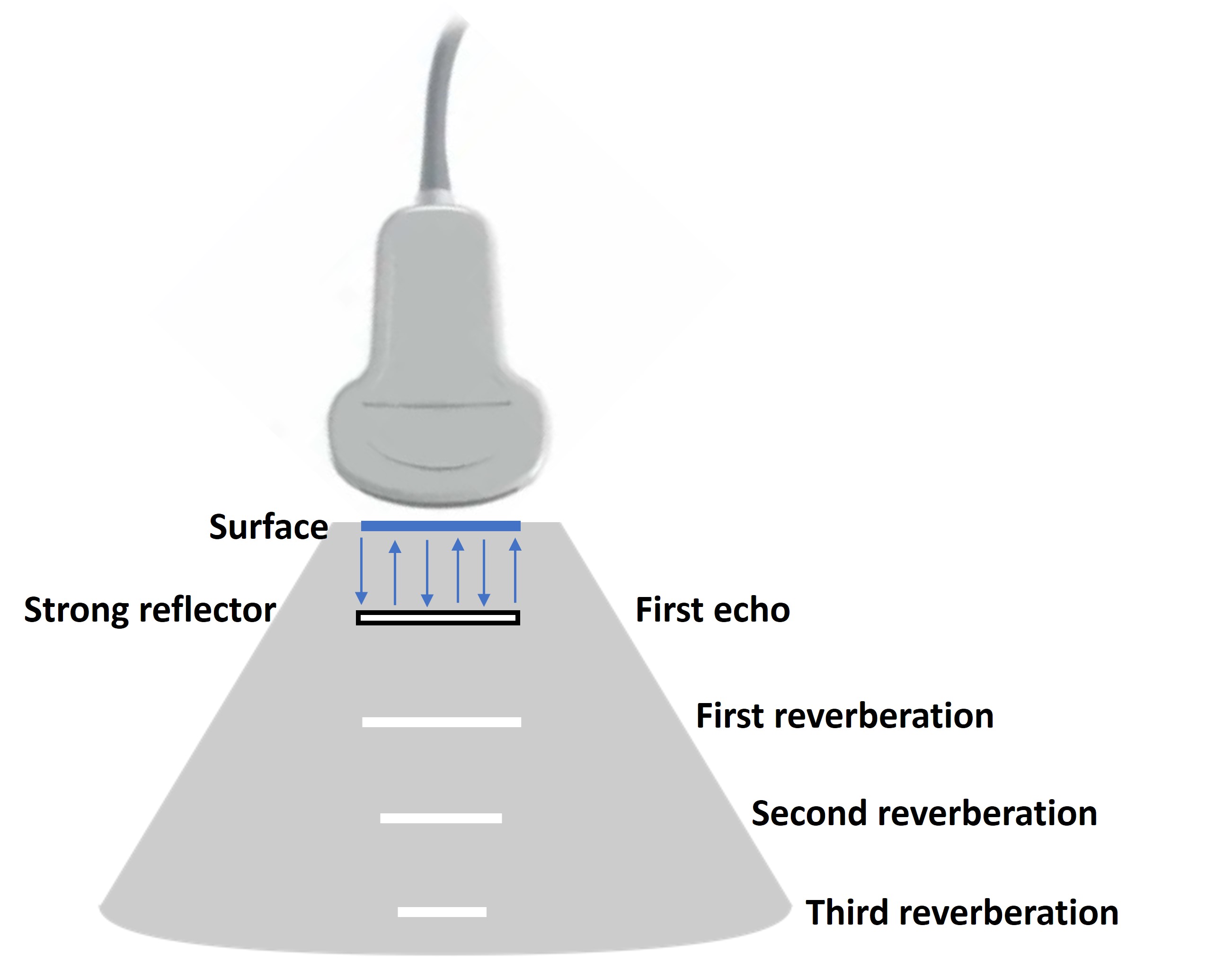Afbeeldingen van European Society of Radiology - EPOS